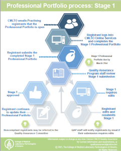 Professional Portfolio – CMLTO